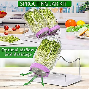 EOUOBOMO Sprouting Kit,Sprouting Jar Kit,Sprouts Growing Kit w.Wide Mouth Mason Jar,316 Screen Lid, Stand,Tray and Blackout Sleeves,Seed Sprouting Kit for Growing Broccoli, Alfalfa