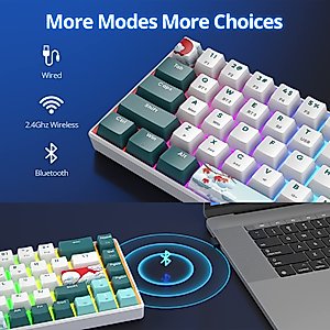 Fogruaden Hot Swappable 60% Wireless Mechanical Gaming Keyboard 60 Percent, 2.4G/USB-C/Bluetooth Keyboard, RGB Backlit, 68 Keys NKRO Compact Mini Keyboard for Win/Mac(Gateron Yellow Switch, Forest)
