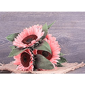 100pcs Pink Sunflower Seeds for Planting, Heirloom and Non-GMO Seeds, Easy to Plant and Grow, Outdoor Garden and Bonsai Plants