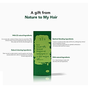 [ChungMiJung] Kelp Small Scalp Shampoo Dandruff Shampoo 500ml-organic 18 Ingredients from Nature for Sensitive Skin Korean Skincare,16.91 Fl oz (Pack of 1)