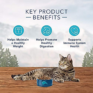 Blue Buffalo Wilderness High Protein, Natural Adult Weight Control Dry Cat Food, Chicken 11-lb
