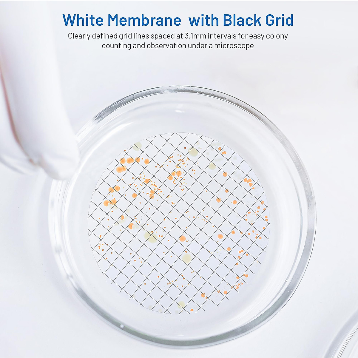 Locofiltr MCE Membrane Filter, Sterile, 47mm, 0.45µm, Hydrophilic, Individually Wrapped, Black Grid, Pack of 100, Mixed Cellulose Esters Membrane Filters Paper Disc Filters