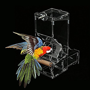 Bird Automatic Food Feeder, 1Pc Acrylic Transparent Parrot Integrated Automatic Feeder Automatic Bird Seed Feeder for Small to Medium Birds(M Single Type)