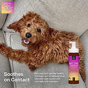 Hot Spot Treatment for Dogs - Anti Itch Foam Spray with Aloe Vera - Veterinarian Formulated Hotspot Formula - Quick-Dry Foam Eliminates Use for Cream & Gels - Made in USA