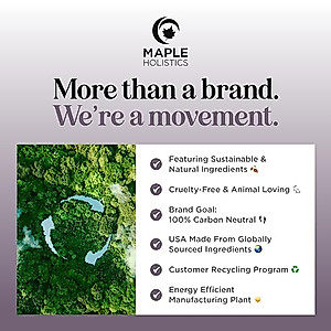 Sage and Rosemary Shampoo Sulfate Free - Sage Oil Clarifying Shampoo for Build Up and Scalp Moisturizer - Oily Hair Shampoo for Greasy Hair and Dry Scalp Treatment with Essential Oils for Hair