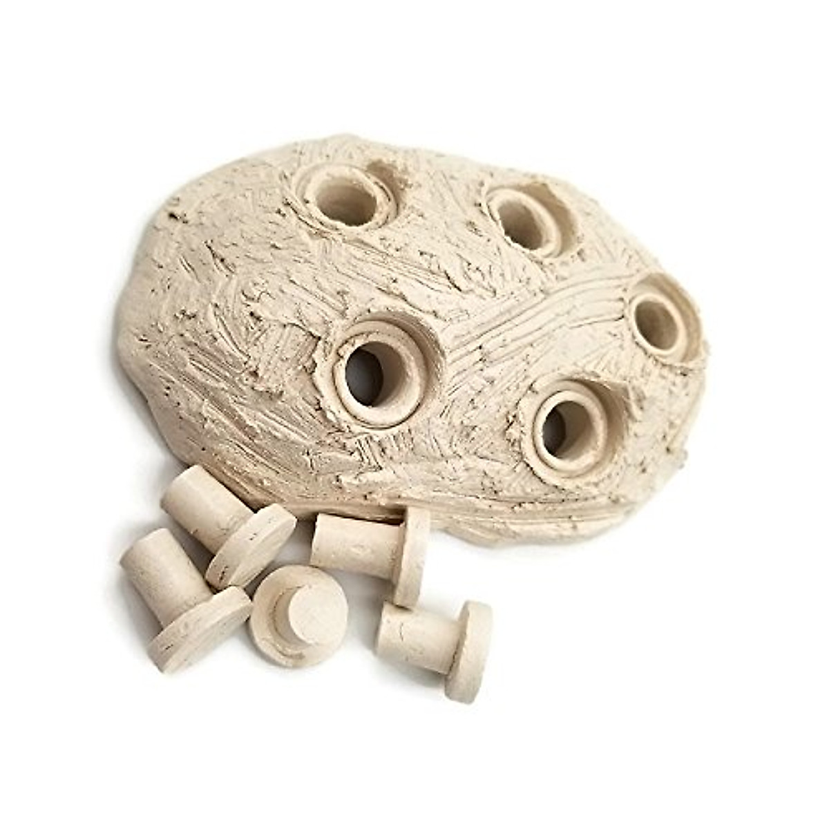 Oceans Wonders Flush Fit Frag Station Hub 5.0 Coral Reef Plug Holder with 5 Plugs