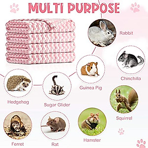 4 Pack Guinea Pigs Blankets 30 x 40 Inch Hamster Fleece Cage Liners Soft Guinea Pig Accessories Small Animal Pet Blanket Sleep Bedding Mats Pet Supplies for Dog Puppy Cat
