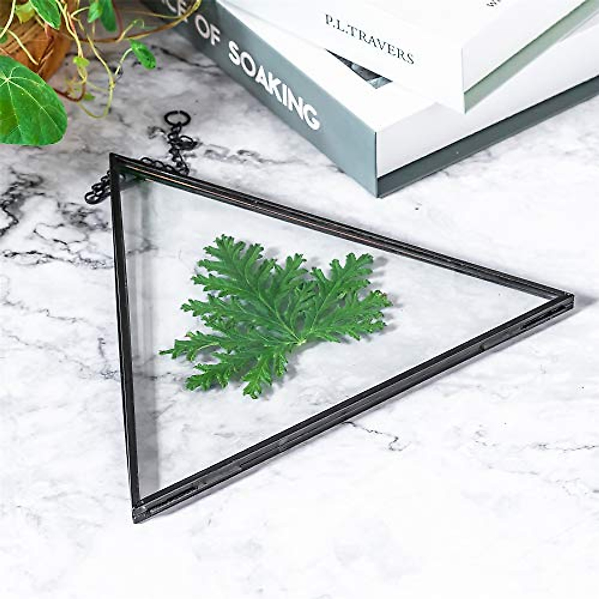 NCYP Side Length 8 Inches, Black Hanging Brass Glass Frame for Pressed Dried Flowers, Picture Photos Double Glass, Floating Frame Style Triangle Herbarium (Glass Frame Only)