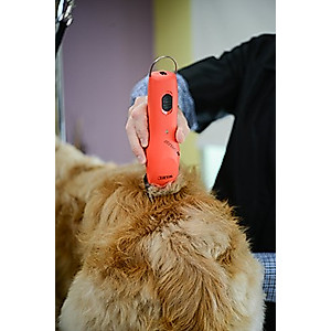WAHL Professional Animal KM Cordless 2-Speed Detachable Blade Pet and Dog Clipper Kit, Poppy (#9596-200)
