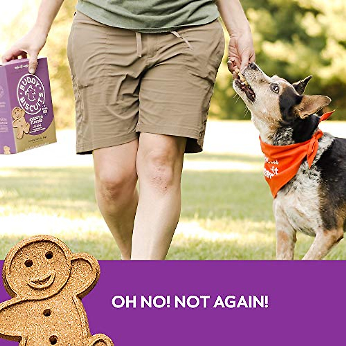 Buddy Biscuits Oven Baked Dog Treats, Assorted Flavors Roasted Chicken, Grilled Beef, Sharp Cheddar, 16oz