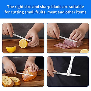Four Seasons Stainless Steel Knife, All Steel Solid Handle for Home Use, Outdoor Camping, Fishing Knife EDC Multi-tool with Glass Breaker - 13.5in