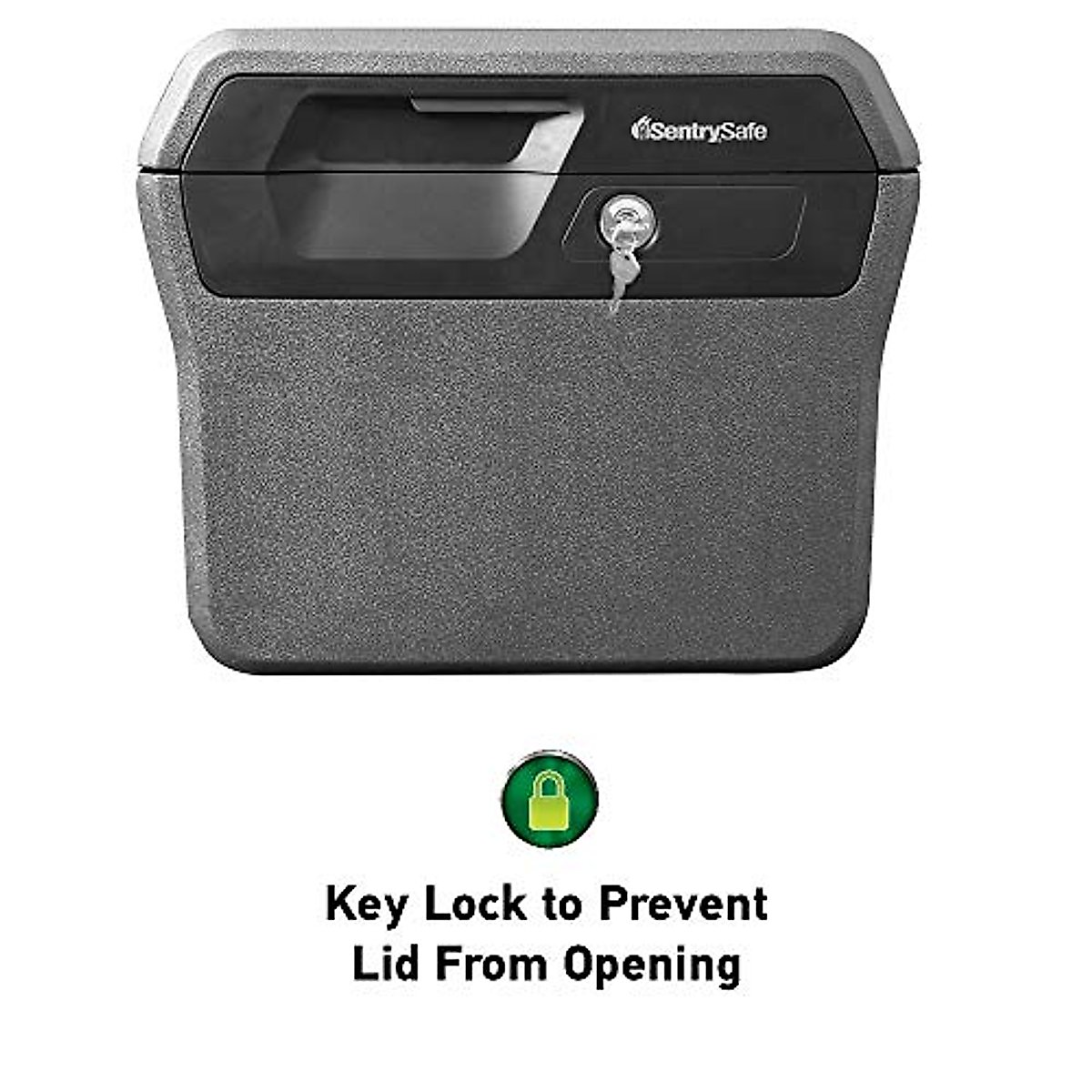 SentrySafe Fireproof and Waterproof Safe Box with Key Lock, File Safe with Carrying Handle for Documents, 0.66 Cubic Feet, 14.1 x 16.6 x 13.8 Inches, FHW40100
