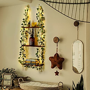 Hanging Shelf with Vine Lights, Macrame Plant Shelf, Wall Shelf, Wall Storage with Handmade Woven Ropes, 3 Tier Floating Shelf, Boho Room Decor Aesthetic for Succulents, Bedroom, Living Room, Bathroom