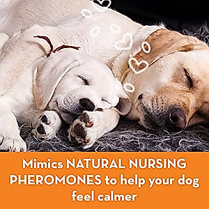 ThunderEase Dog Calming Pheromone Diffuser Refill | Powered by ADAPTIL | Vet Recommended to Relieve Separation Anxiety, Stress Barking and Chewing, and The Fear of Fireworks and Thunderstorms (30 Day