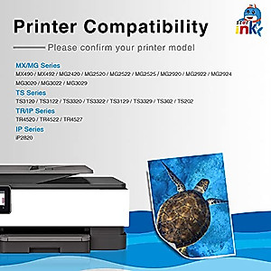 st@r ink 245XL 246XL Ink Cartridges | Remanufactured Replacement for Canon 245 246 for Pixma MX490 MX492 MG2522 TS3322 TR4520 TS3122 TR4522 TR4500 MG2500 Printer Ink 243XL (Black/Color) 2-Pack