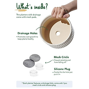 LE TAUCI Succulent Pots, 6.5+8 Inch Ceramic Indoor Plant Pot with Drainage Hole, Modern Round Decorative Flower Pot, Set of 2, Reactive Glaze White