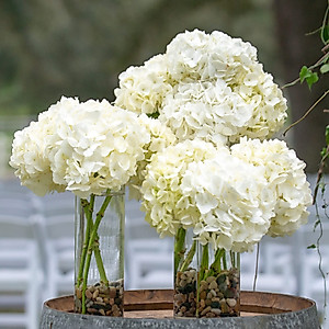 WDHODEC Hurricane Candle Holders Cylinder Flower Vases Pillar Votives Floating Candles Holder, Clear Glass Vase for Wedding Party Decor 10" 7.8" 6" Set of 12