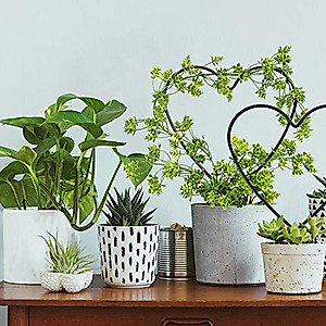 MIXXIDEA Metal Trellis for Climbing Plants Outdoor Decorative Small Trellis for Potted Plants Rust Proof Garden Plant Trellis for Pots Heart Shaped Pack of 2 - Black