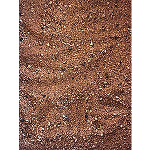 JurassicNatural Australian Desert Dragon Habitat 20lb Substrate for Bearded Dragons and Other Lizards, Red (DESERT020)