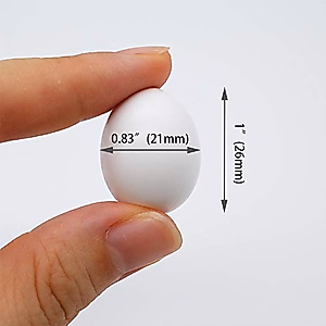 FOIBURELY 8 Pcs Solid Parrot Plastic Eggs Hatching Eggs Green Cheek, Lorikeet&Ringneck Dove, Quaker, Cockatiel. Trick The Birds to Stop Laying Eggs, Plastic Eggs