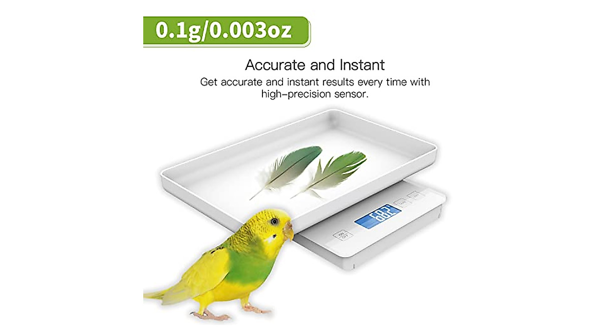 MINDPET-MED 11lbs/0.1g Pet Scale for Small Animal, Whelping Scale, Guinea Pig Weighing Scale ...