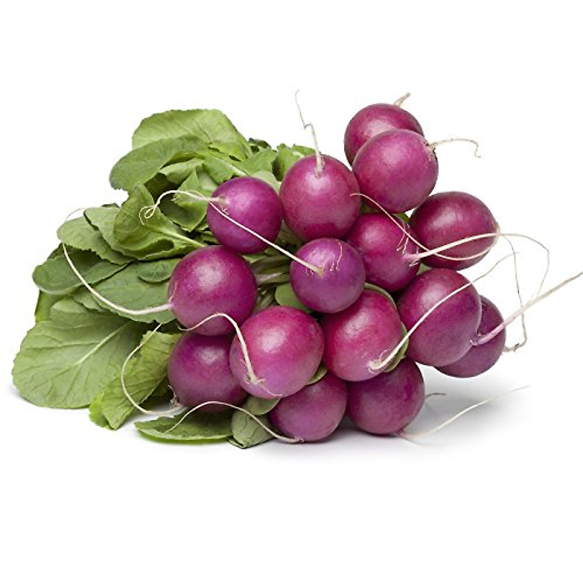Purple Plum Radish Seeds - 1 Oz - Heirloom Garden Seeds, Non-GMO - Vegetable Gardening and Microgreens