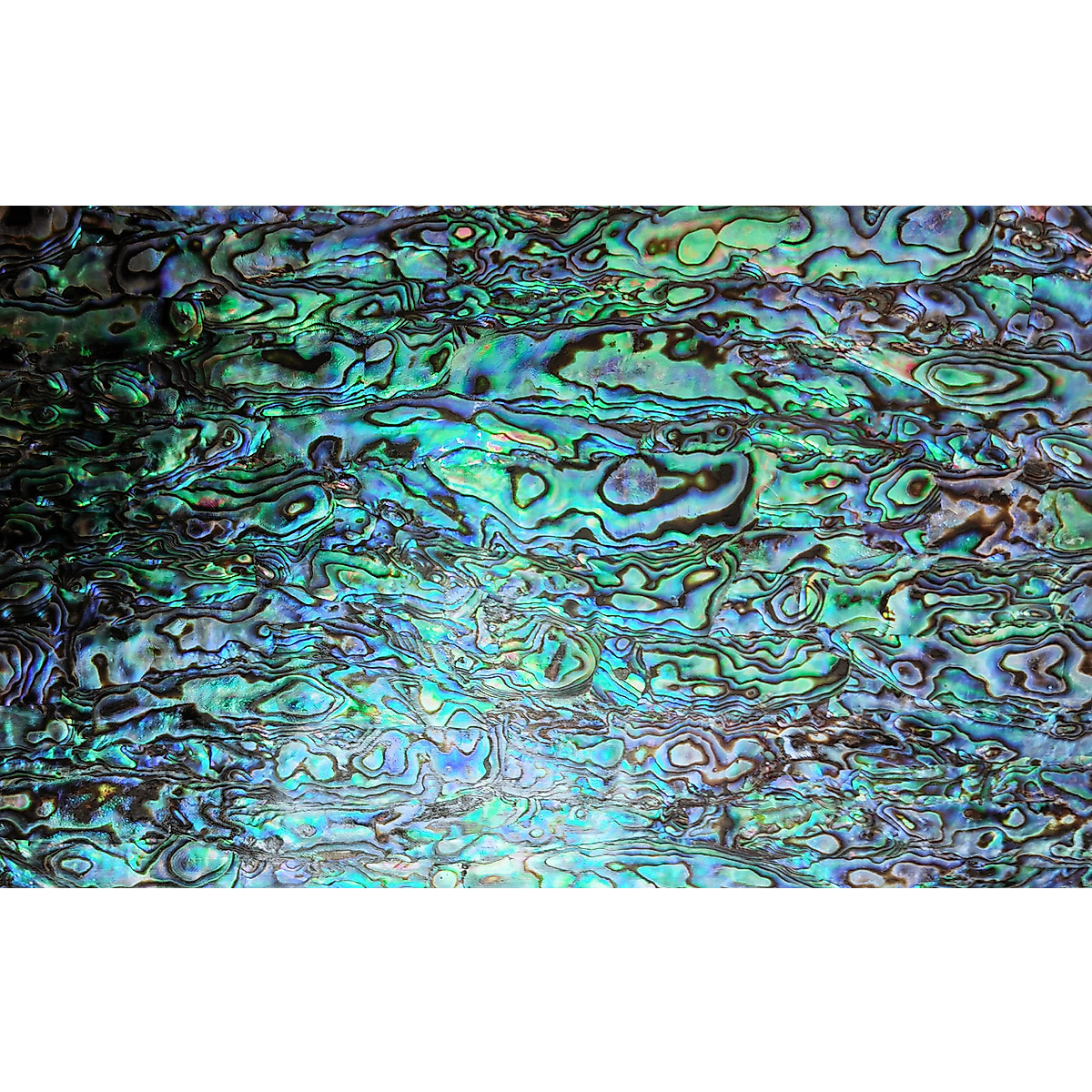 GOMMO Blue Paua Shell Veneer Sheet Enhanced for Inlay and Overlay Flat(9.4" x 5.5" x 0.007")(New Zealand Blue Abalone)
