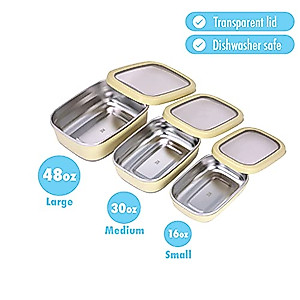 MIRA Reusable Stainless Steel Food Storage Containers, Bento Lunch Box with Anti-Slip Exterior for Meal Prep, Portion Control, Kitchen Food Storage - Set of 3 (2 cups, 4 cups, 6 cups), Honey