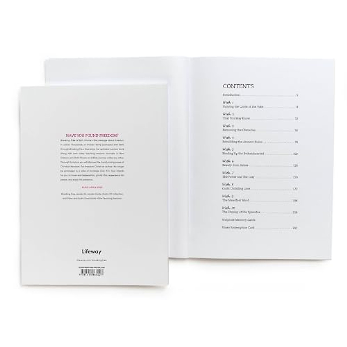 Breaking Free - Bible Study Book: The Journey, The Stories