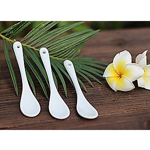 AWHOME White Porcelain Spoons Coffee, Tea, Yogurt and Ice-cream, Cutlery Fitting Ceramic Spoons 5 Inch Set of 10