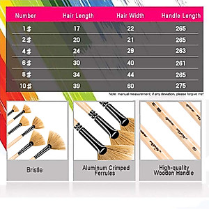 Artist Fan Paint Brush Set of 6, Hog Bristle Natural Hair Anti-Shedding Brush Tips, Long Wooden Handle for Comfortable Holding, Great for Acrylic Watercolor Oil Painting