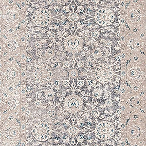 SAFAVIEH Sofia Collection Area Rug - 8' x 10', Light Grey & Beige, Vintage Oriental Distressed Design, Non-Shedding & Easy Care, Ideal for High Traffic Areas in Living Room, Bedroom (SOF330B)