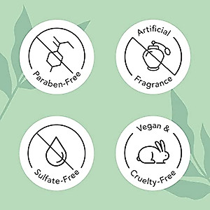 Rael Miracle Clear Barrier Cream - Daily Moisturizer with Succinic Acid, Vitamin B, for Oily Skin, Paraben-Free, Vegan (1.8 oz)