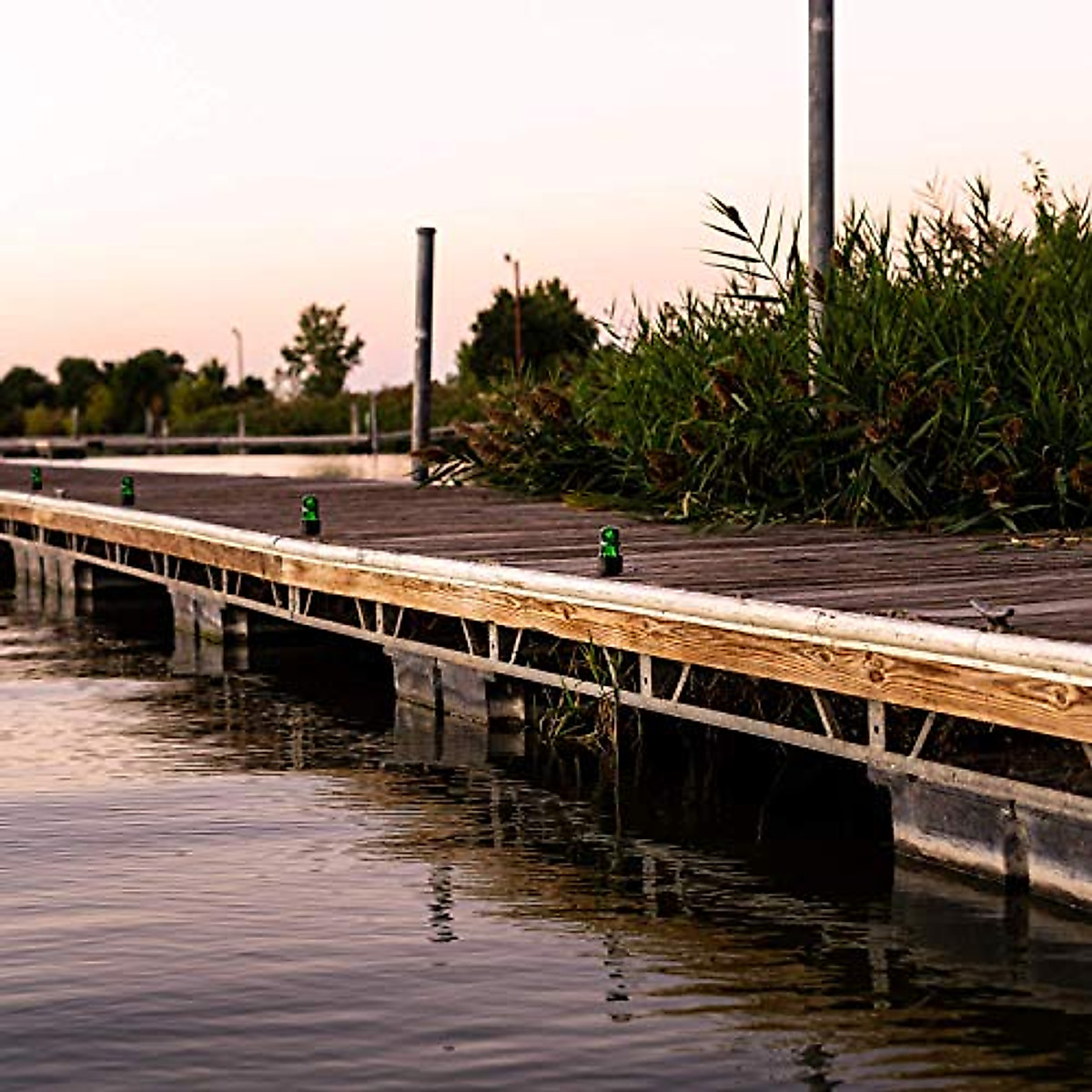 TOMAR 485S-G Microstrobe E26 Medium Bulb Base, 120VAC, Green Lens (Green, Screw-in Base (120 VAC))