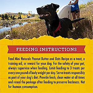 Zuke’s Mini Naturals Soft Dog Treats for Training, Soft Chewy Dog Training Treats with Peanut Butter and Oats