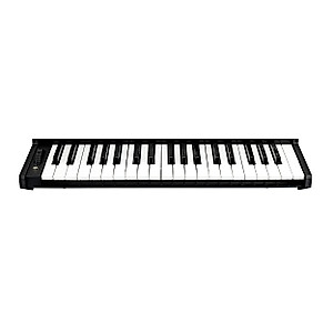 Korg MS-20 FS Monophonic Analog Synthesizer, 2 Oscillators, 37 Mini-Keys, Black