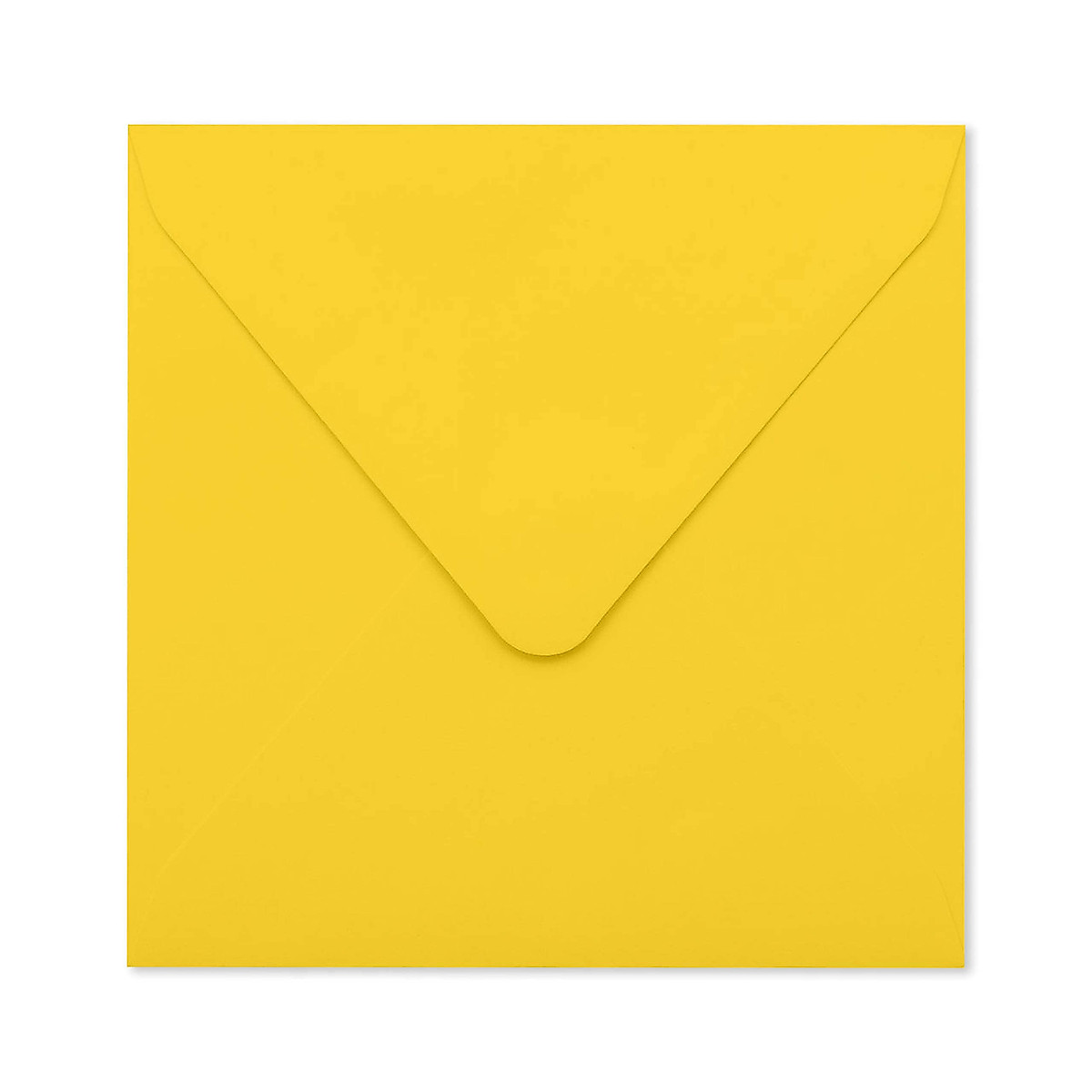 CENTRAL 23 - Woof Woof, Happy Birthday' - Cute Funny Birthday Card from Pet Puppy Dog to Owner - For Him Her Men Women Wife Husband Sister Brother Daughter Son Mom Dad - Comes with Fun Stickers