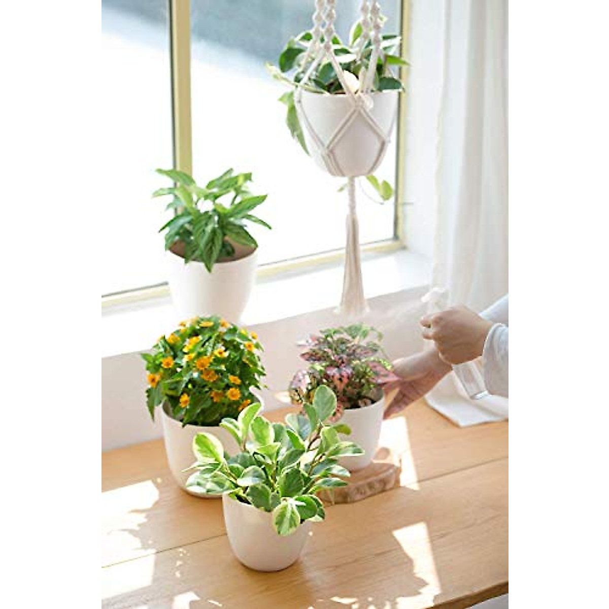 Mkono 6.5" Plastic Planters with Saucers, Indoor Set of 5 Flower Plant Pots Modern Decorative Gardening Pot with Drainage for All House Plants, Herbs, Foliage Plant, and Seeding Nursery, Cream White