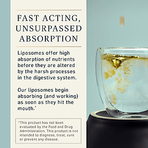 Quicksilver Scientific Methyl Charge - Methylation, Liver, Detox + Energy Supplement - Folate, Vitamin B12, Riboflavin, Vitamin B6 + TMG Supplement with Superior Absorption - Vegan B Vitamins (50ml)