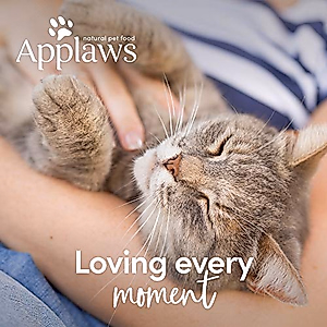 Applaws Natural Wet Cat Food, Limited Ingredient Cat Food Pouches- Chicken Breast with Pumpkin in Broth - 12 x 2.47oz Pouches