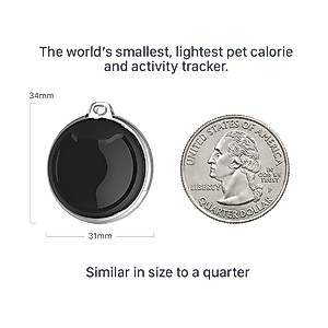 Poof Pea Pet Activity Tracker, Black