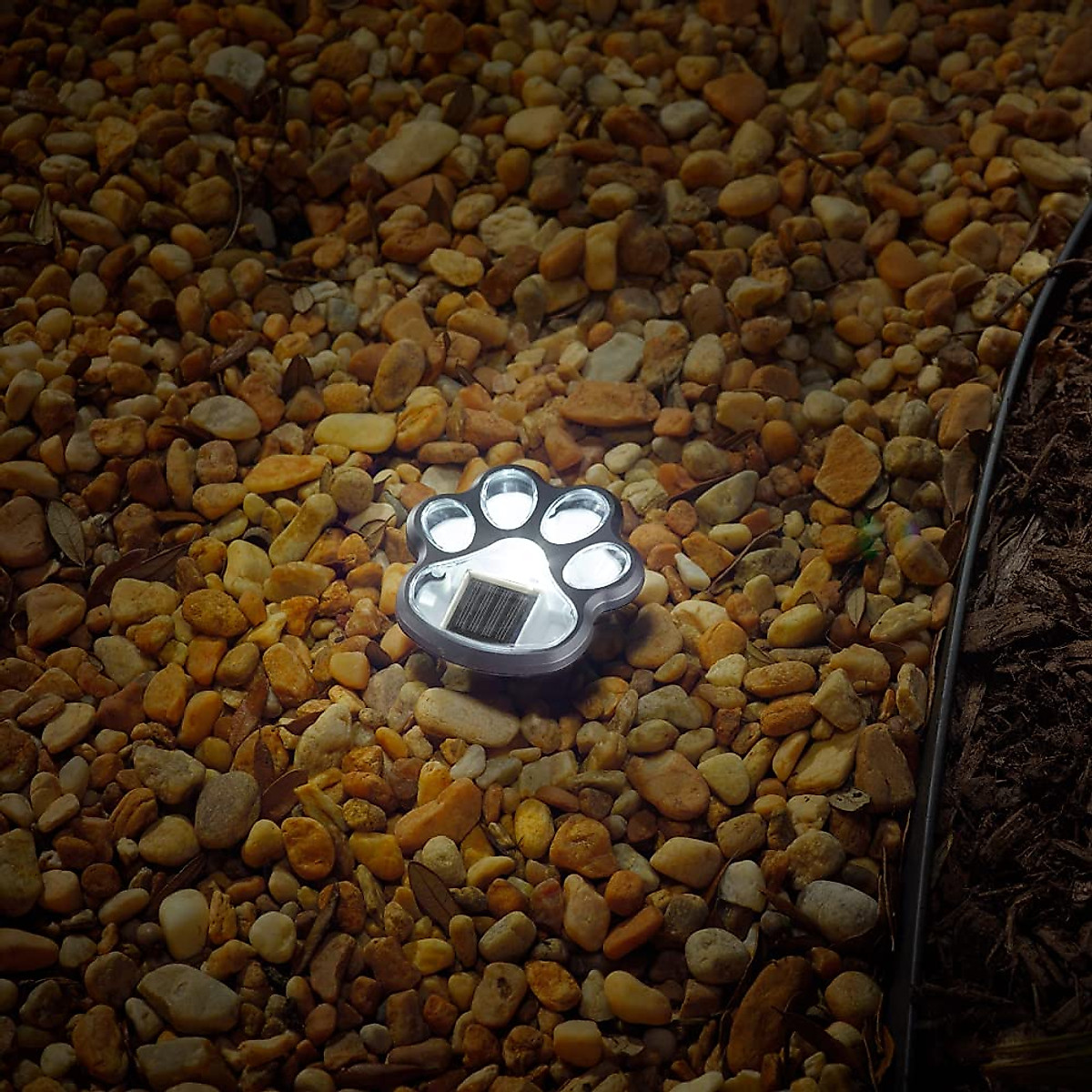 Smart Solar Paw Print Garden Accent Light with Cool White LEDs 3341WMM6