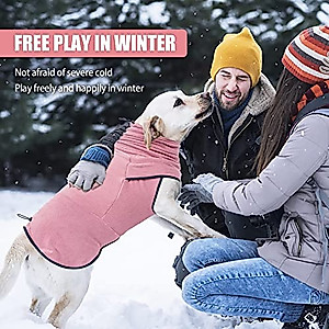 HEYWEAN Dog Fleece Sweater Soft Thickening Warm Pet Shirt Winter Dog Coat Pullover Design and Sleeveless Cloth for Puppy (Pink, S)