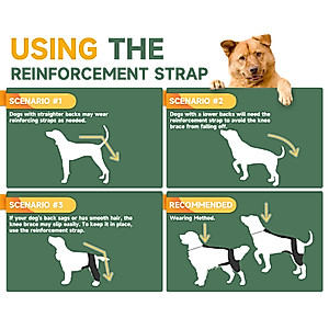 Virbraroo 8X Support Dog Knee Brace with Metal Strips for Joint Pain Relief, Dog Leg Brace for Torn Acl Hind Leg, Rear Leg Brace with Adjustable Traction Belt for Cruciate Ligament Injury (M)