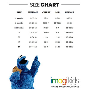 Sesame Street Cookie Monster Infant Baby Boys Fleece Pullover Hoodie and Pants Outfit Set Blue 24 Months