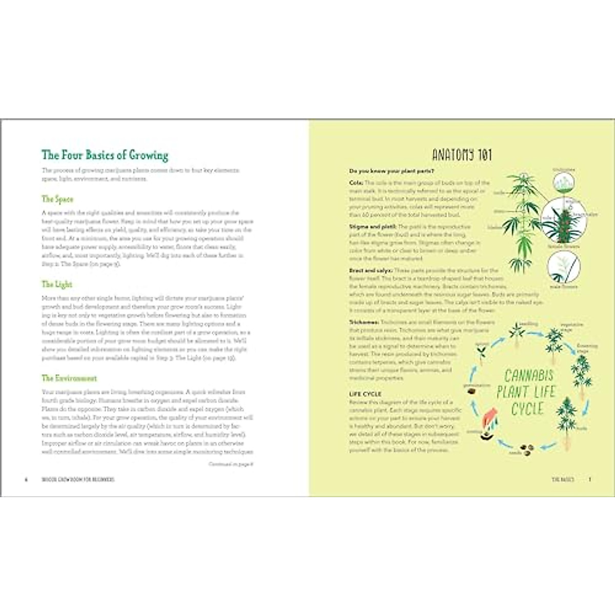 Indoor Grow Room for Beginners: A Step-By-Step Guide to Growing Marijuana