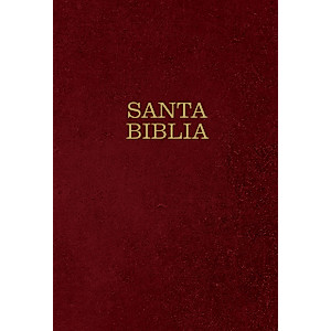 Santa Biblia NTV, letra súper gigante (Tapa dura, Vino tinto, Letra Roja) (Spanish Edition)
