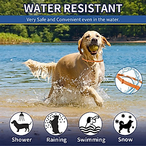 4 Pack Flea Collar for Dogs, 32 Months Flea and Tick Prevention for Dogs, Adjustable Flea and Tick Collar for Dogs Puppies, Waterproof Dog Flea Collar, Natural Dog Flea and Tick Treatment(Pink&Orange)