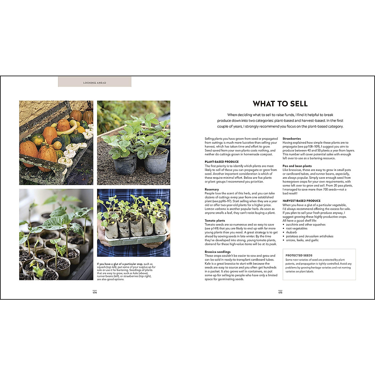 Grow Food For Free: The sustainable, zero-cost, low-effort way to a bountiful harvest