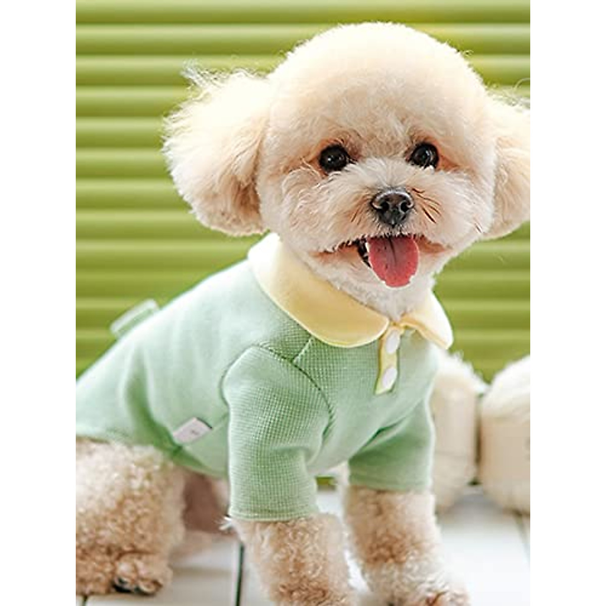 Milumia Pet T Shirt for Small Medium Dogs Puppy Outfits Bow Color Block Cat Clothes Green Medium